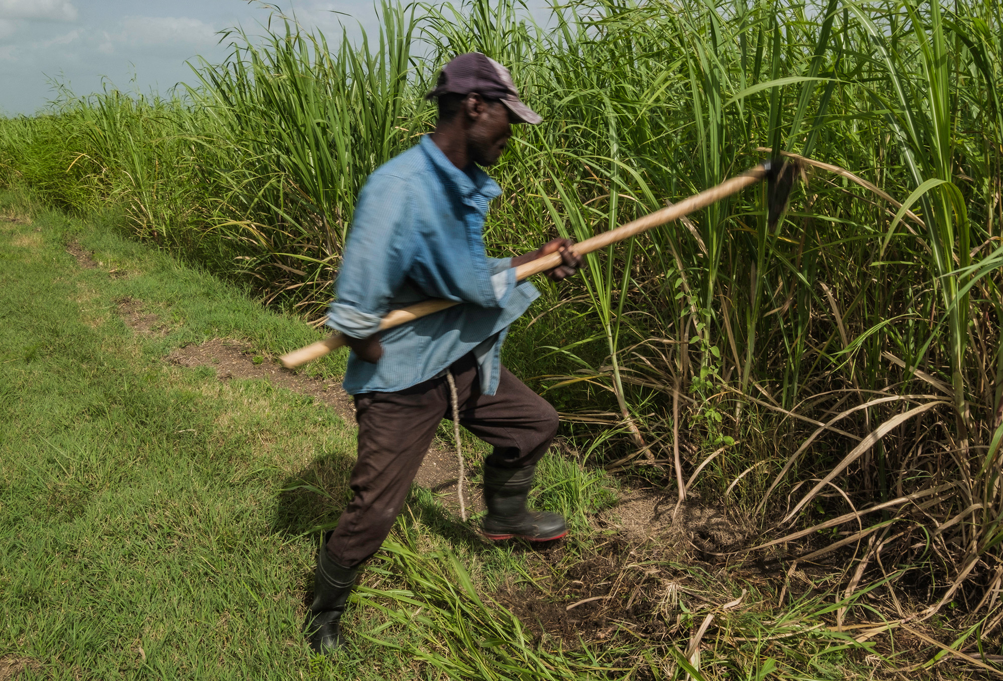 US Bans Sugar Imports From Top Dominican Producer Over Forced Labor ...